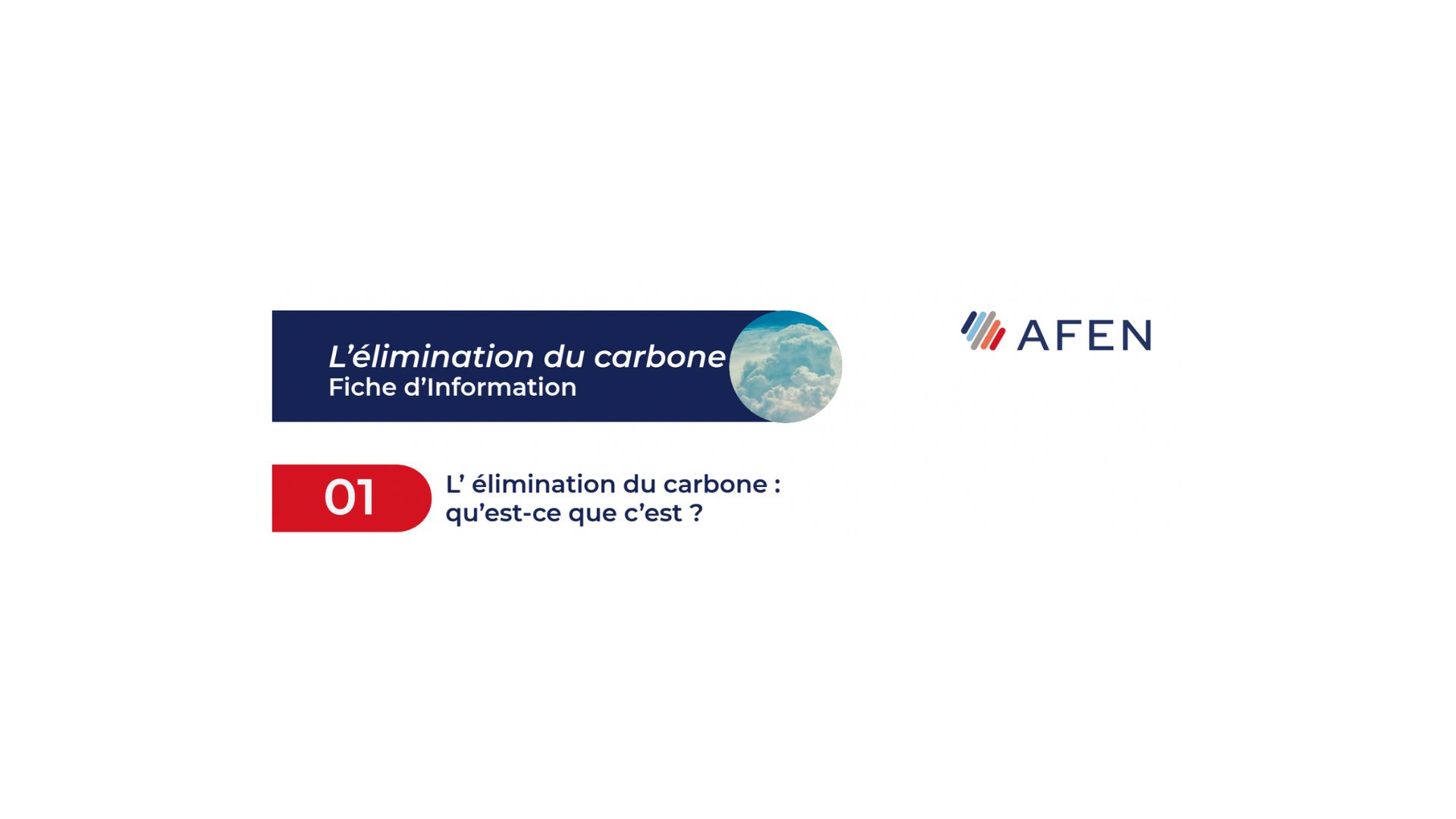 AFEN Fact Sheet on Carbon Elimination (EDC) - AFEN